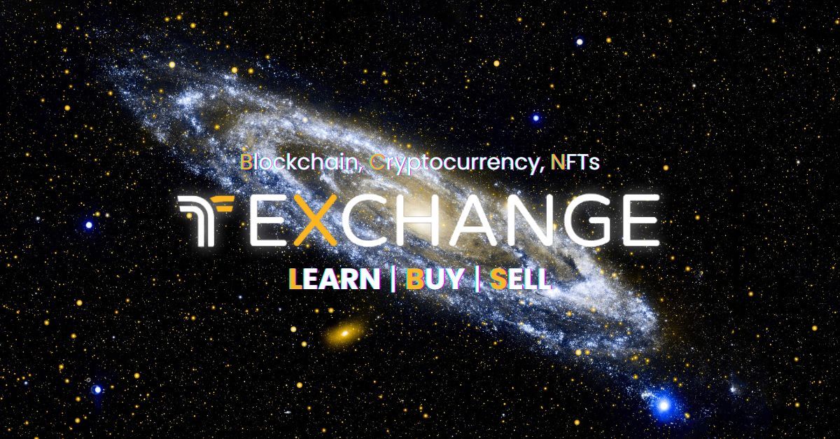 TT Exchange Academy